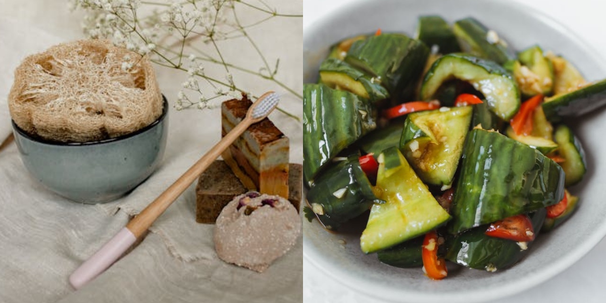 Leguma din Uzbekistan care se cultivă la Suceava. Poate fi utilizat ca ...