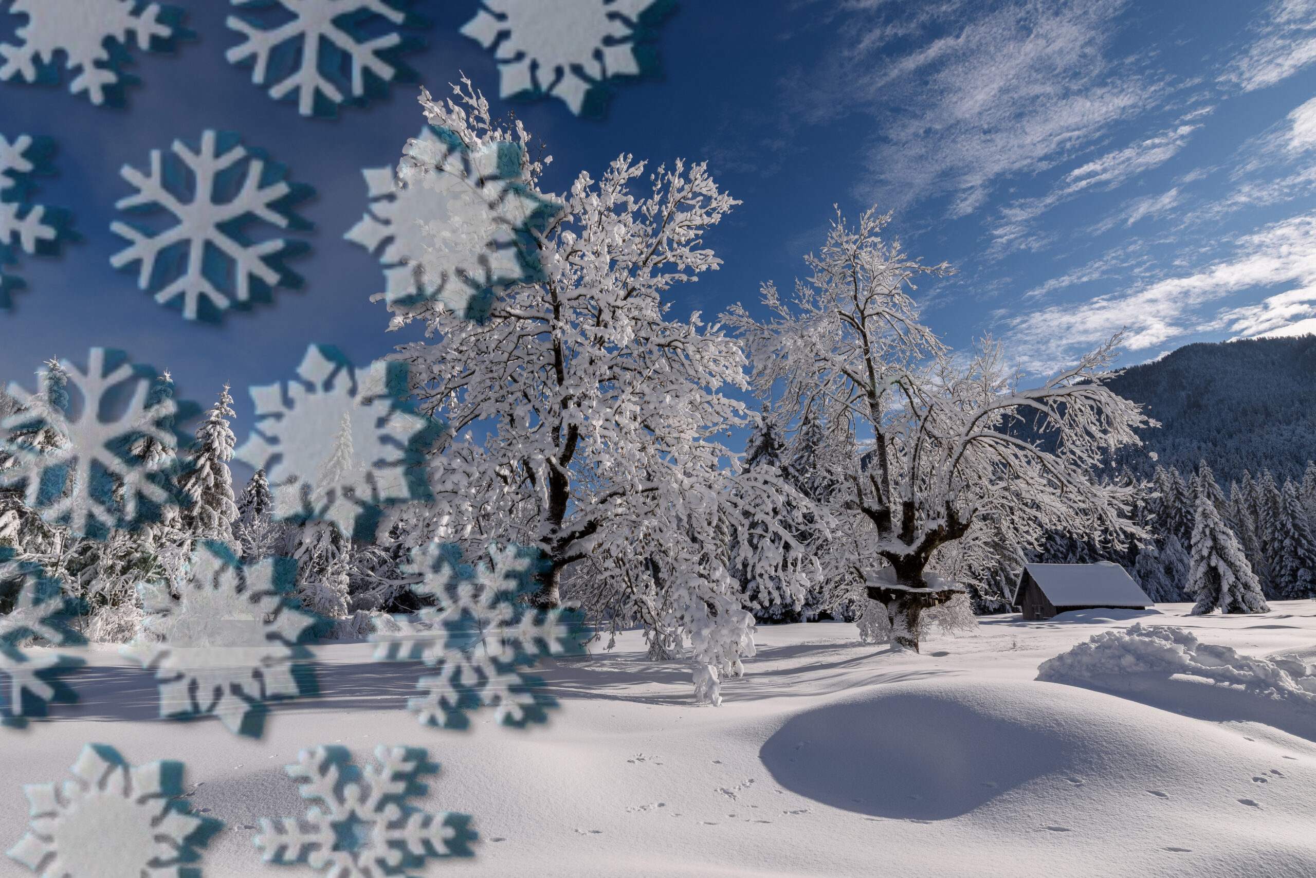 Prognoza ANM de 1 Decembrie și Moș Nicolae. Unde va ninge în România