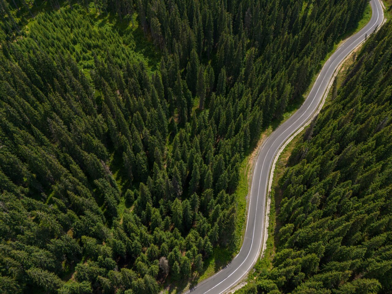 Noul Cod Silvic, aprobat în Parlament. Drumurile forestiere vor fi ...