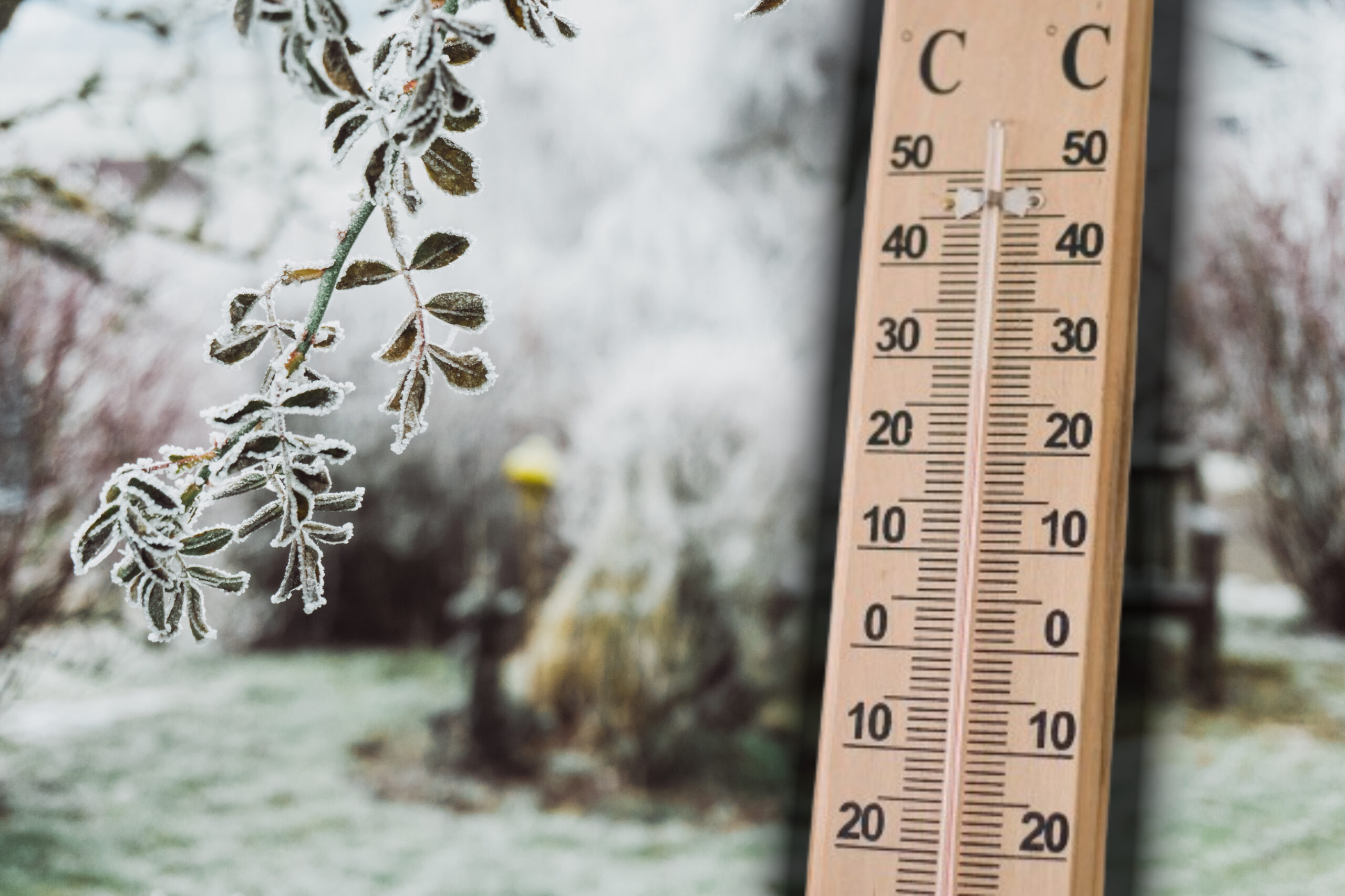 Prognoza METEO actualizată pentru săptămâna 13 - 19 ianuarie 2025. Temperaturi de până la -12 ...