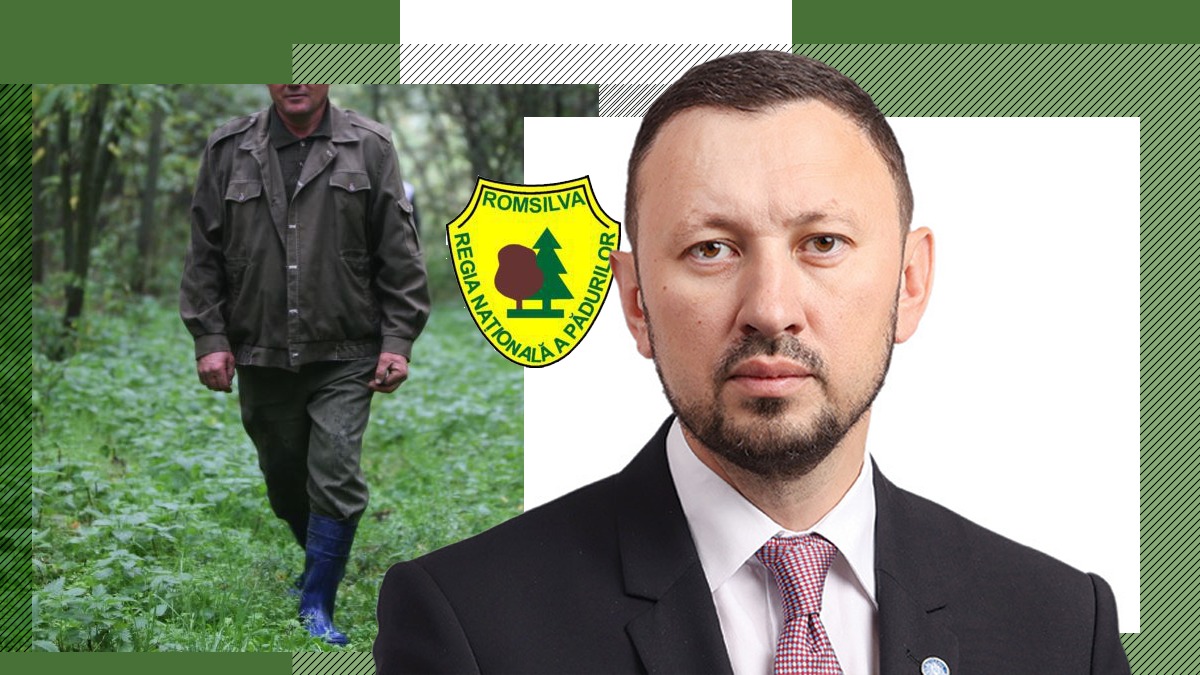 Ministrul Mediului vrea să reorganizeze ROMSILVA/ Mircea FECHET: "Sunt ...