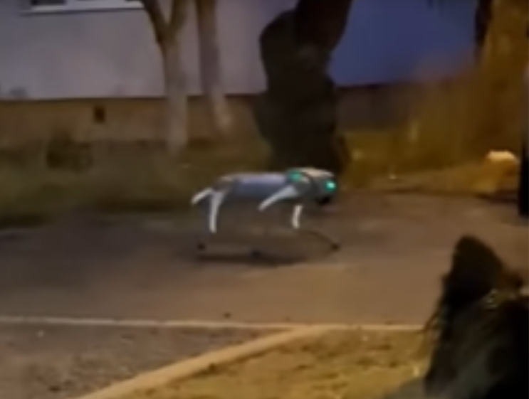 Câine robot, folosit de o familie din Cluj-Napoca pe post de animal de ...