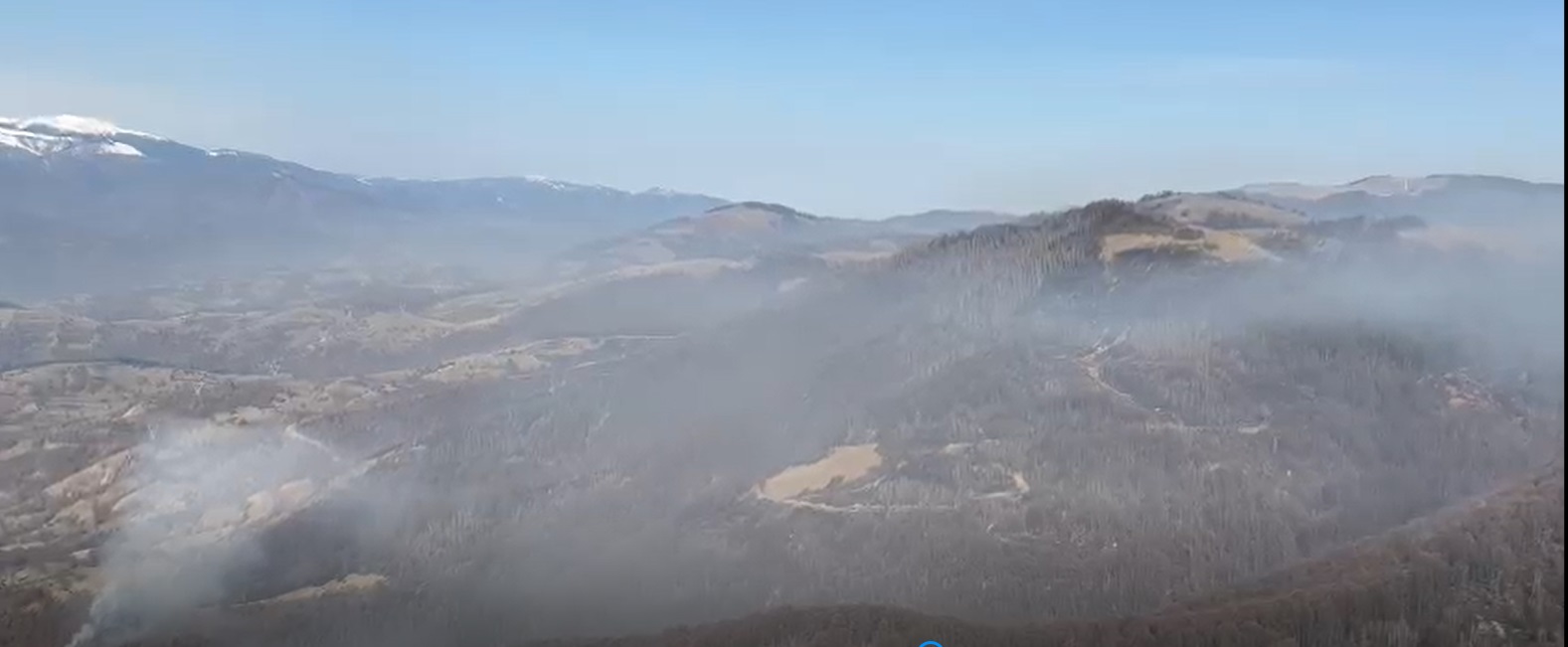 Incendiul de la Boișoara nu a fost stins. 60 de hectare de pădure ...