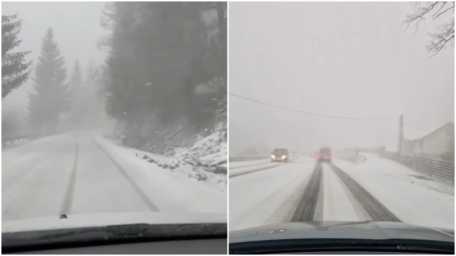 Ninge ca în povești în România. Imaginile au fost suprinse astăzi