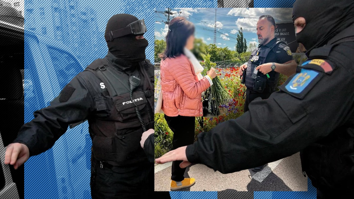 După ce au prins toate băbuțele care fac contrabandă cu pătrunjel ...