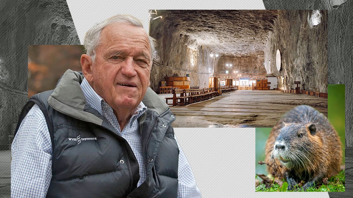 Dezvăluiri | Fața nevăzută a dezastrului de la PRAID. Cine este ...