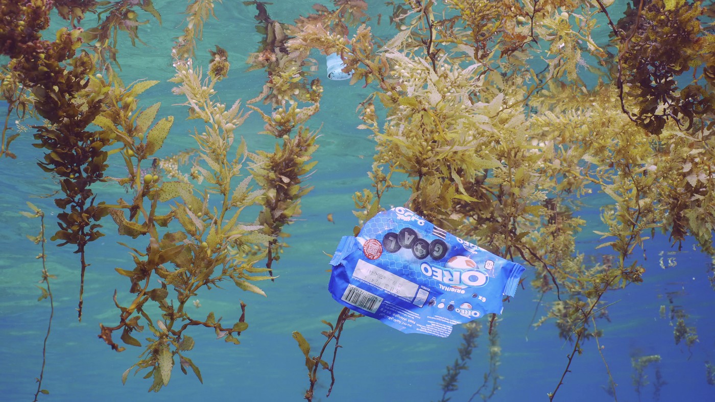 Sfârșitul poluării oceanelor cu plastic? Cercetătorii japonezi au ...