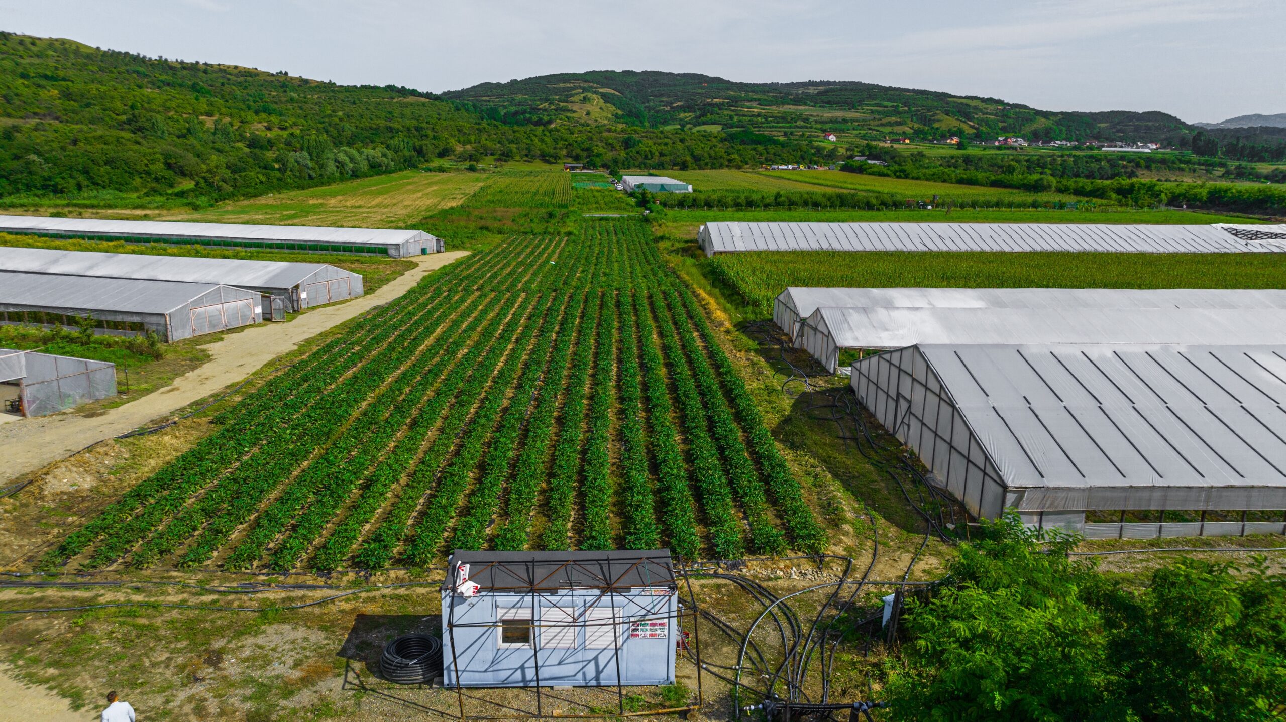 România a pierdut dreptul asupra unor specii din patrimoniul genetic ...