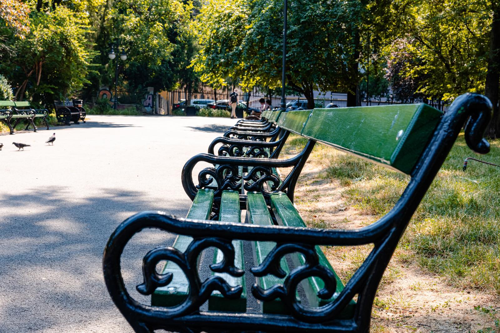 Mobilierul istoric revine în Grădina Cișmigiu. Sute de scaune au fost ...