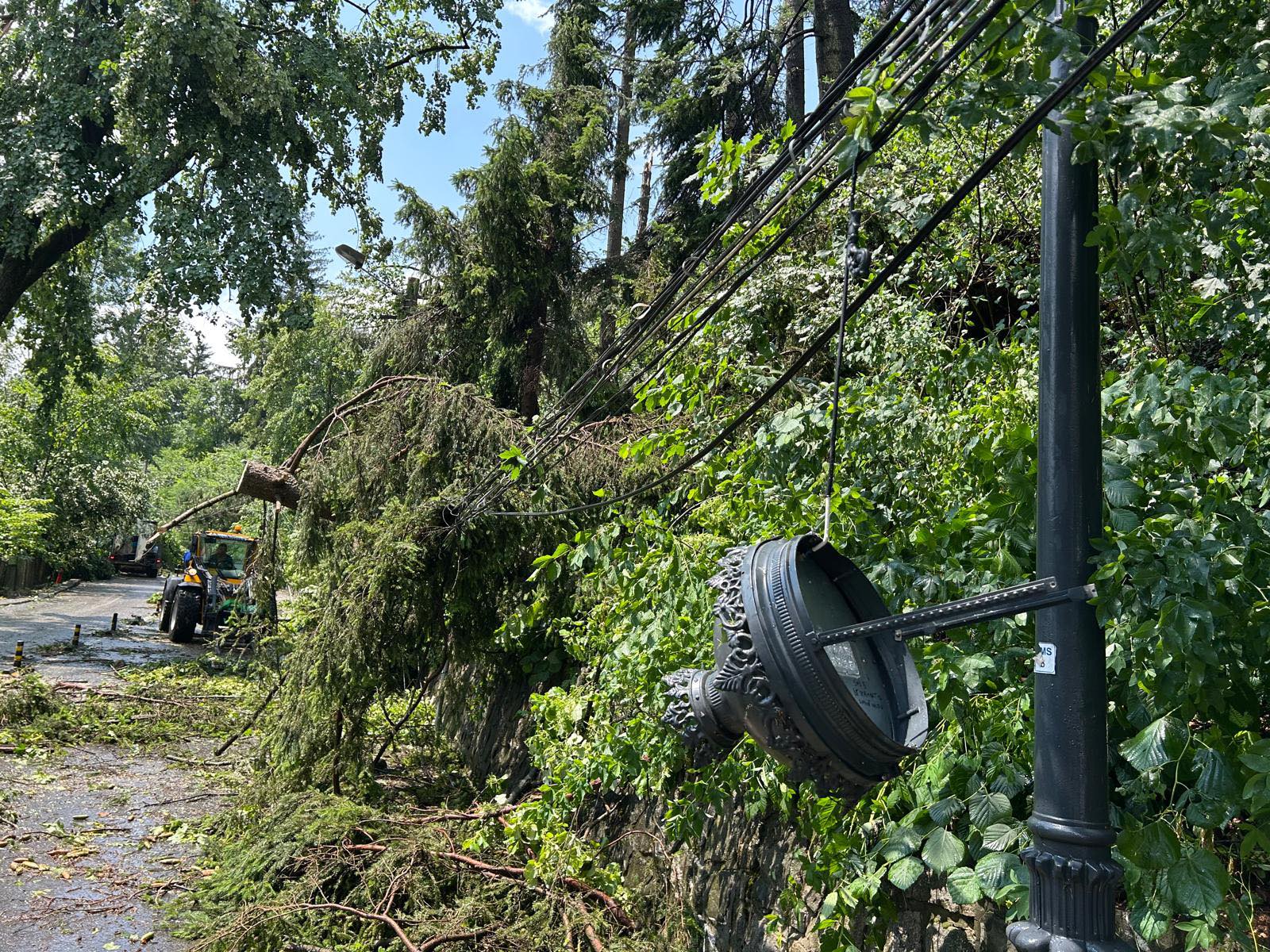 Castelul Peleș și Casa Memorială „George Enescu”, afectate de furtuna ...