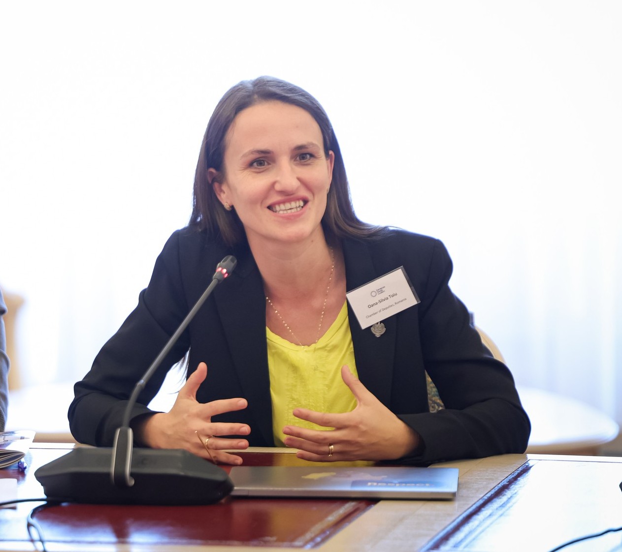 Oana Țoiu, despre ajutorul dat Ucrainei: "Cred că trebuie să facem ...