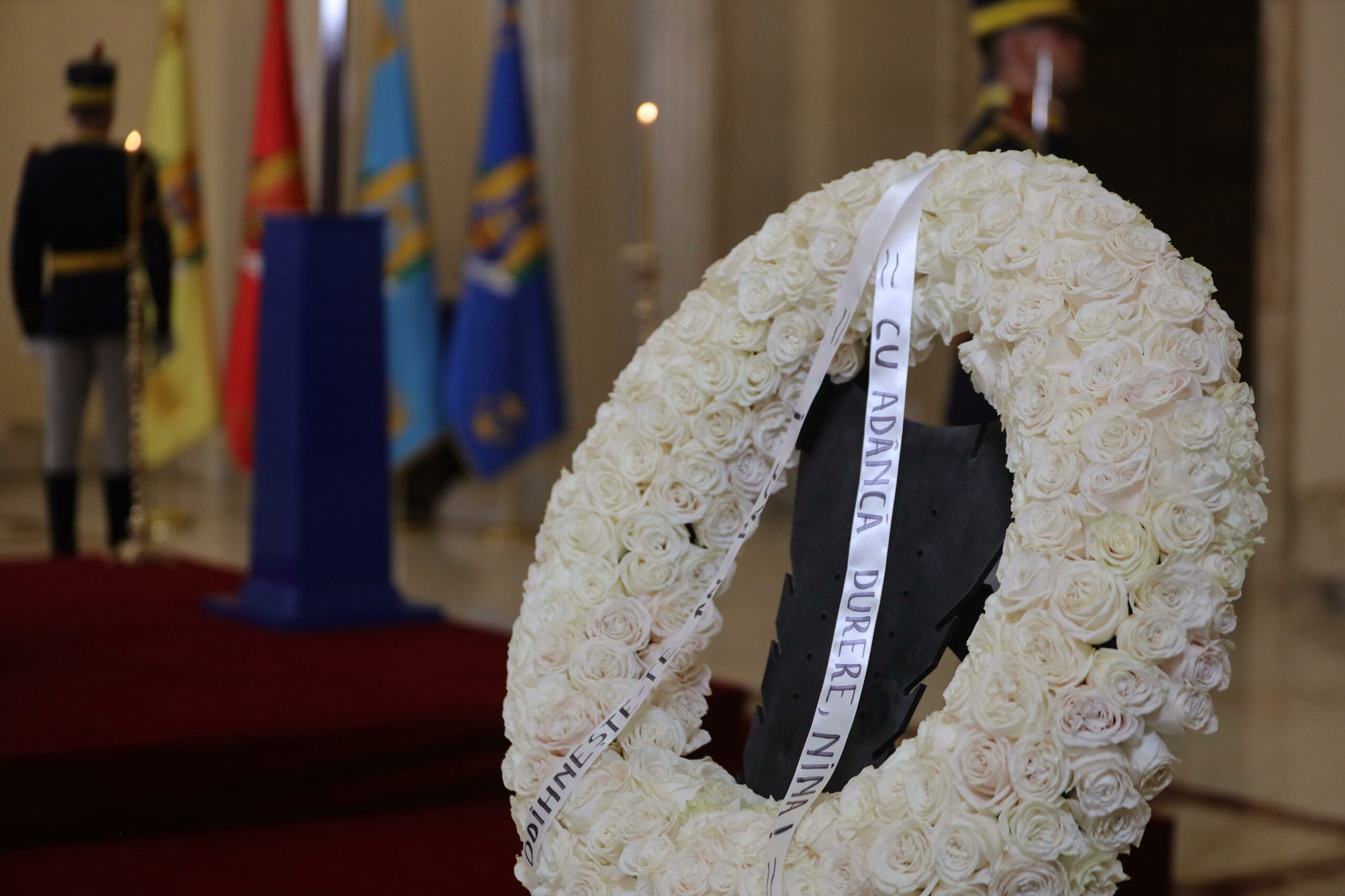 Nina Iliescu, PRIMUL mesaj public: "Port respect tuturor celor care mi ...