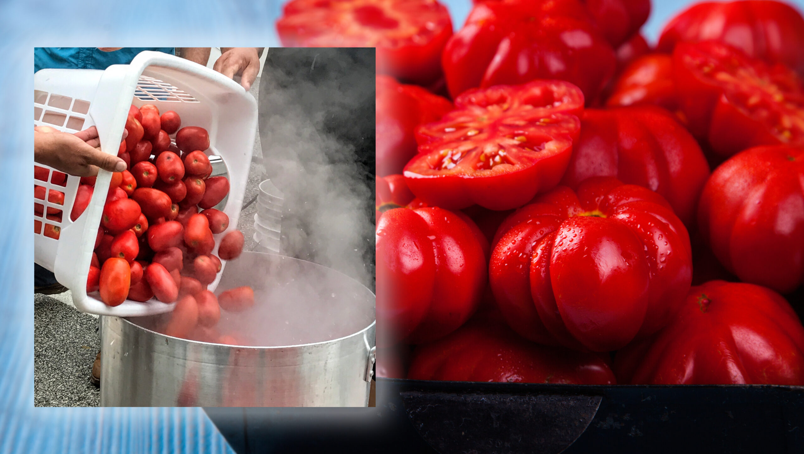 Cum să decojești roșii rapid și eficient. Trucul genial care nu îți pune răbdarea la încercare