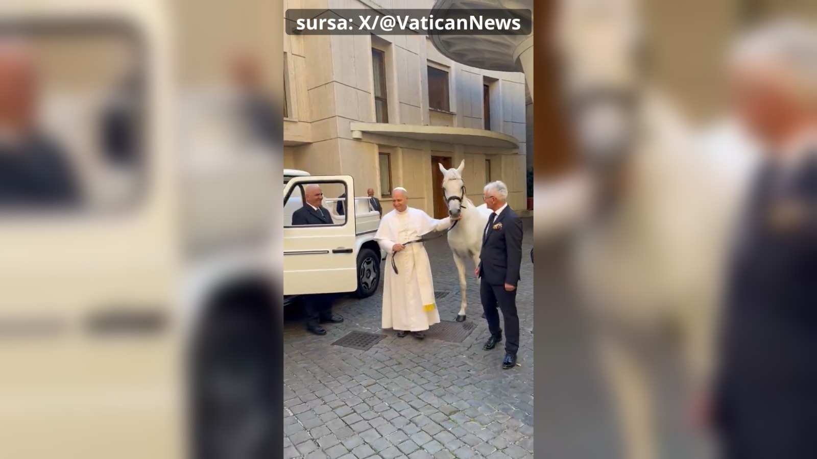 Cadoul unui polonez pentru Papa Leon al XIV-lea: Proton, un cal pur ...