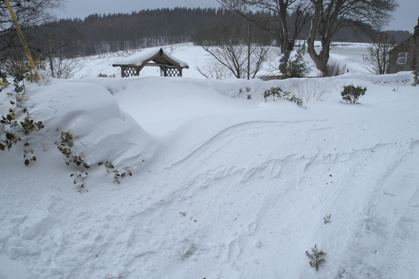 Vortexul polar. Fenomenul care dă peste cap iarna din România