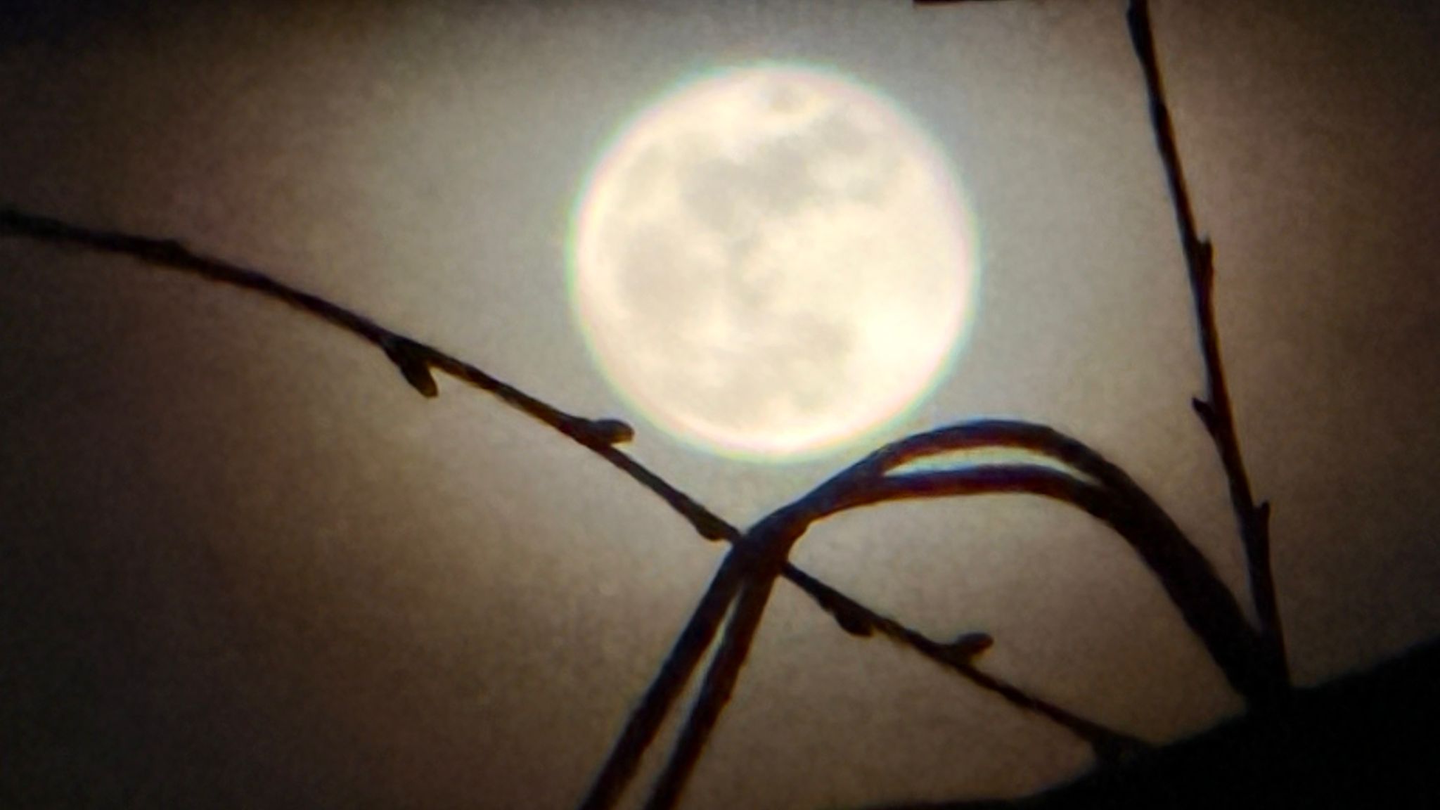 Spectacol pe cer. "Luna roz" în plină splendoare