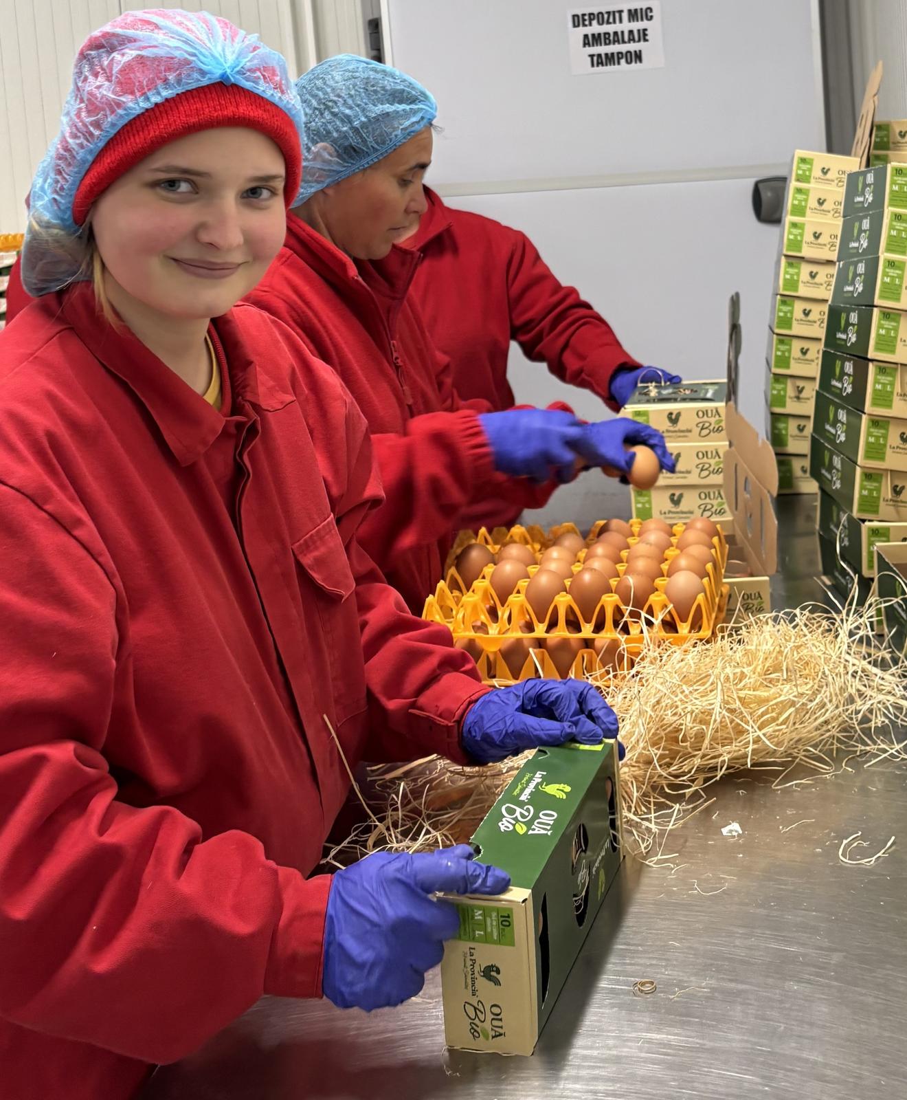 Carmistin The Food Company își consolidează poziția de lider în ...