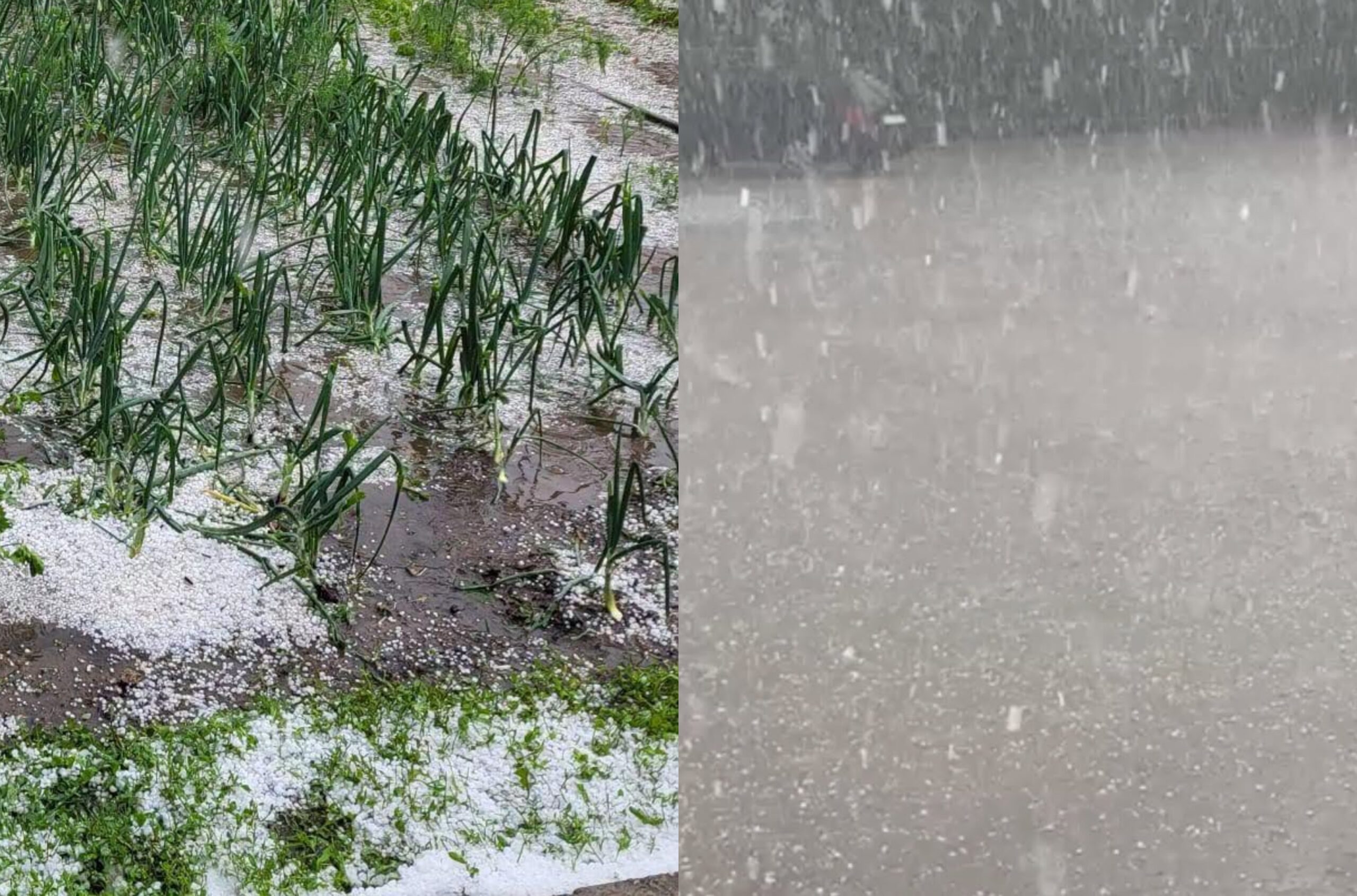 Alertă de fenomene meteo extreme. Codul portocaliu face deja prăpăd în ...