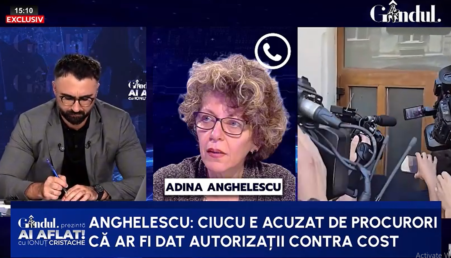 Adina Anghelescu dă informații explozive din dosarul lui Ciucu